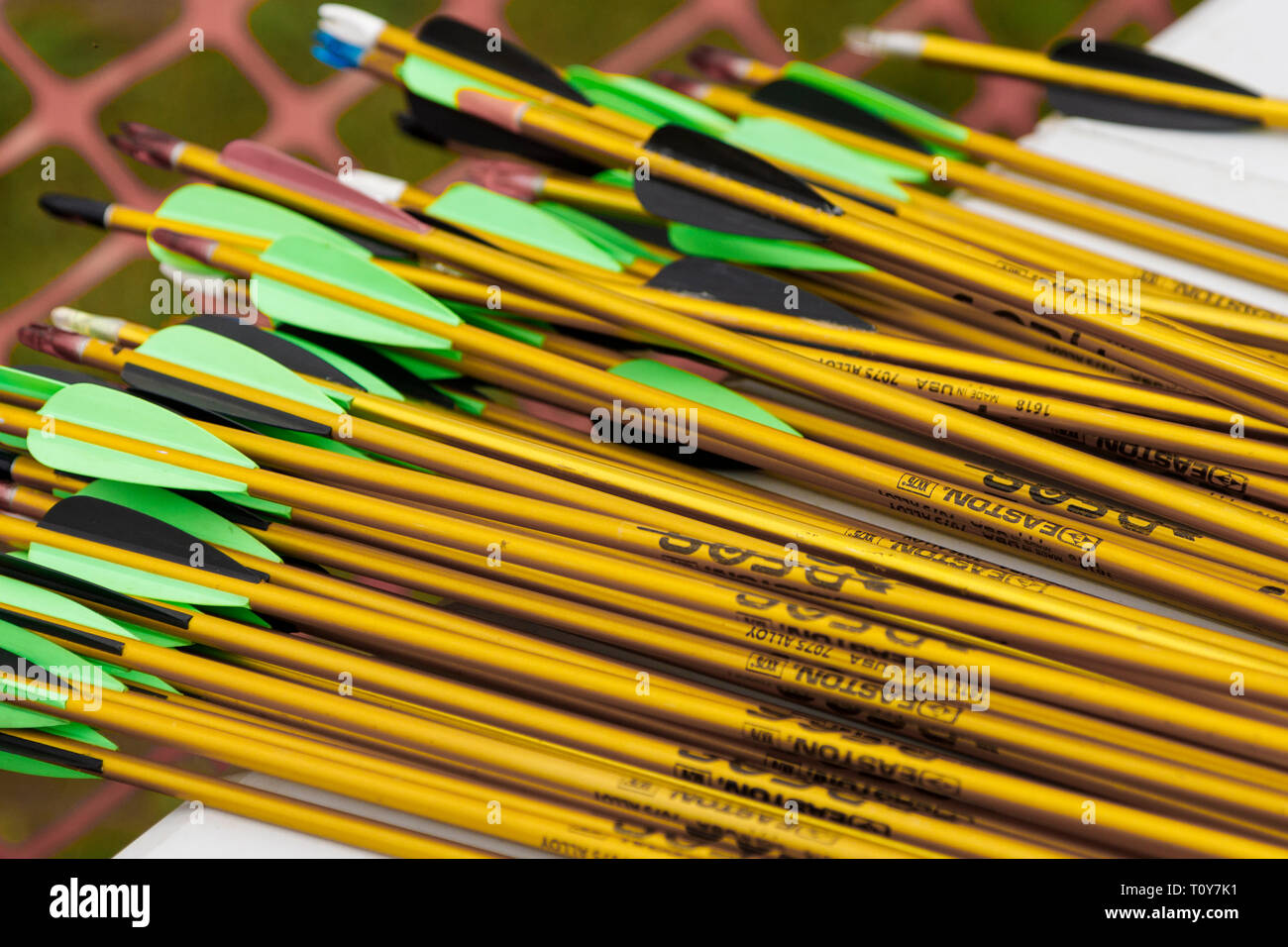 A table of arrows for archery at the 2018 Aylsham Agricultural Show ...