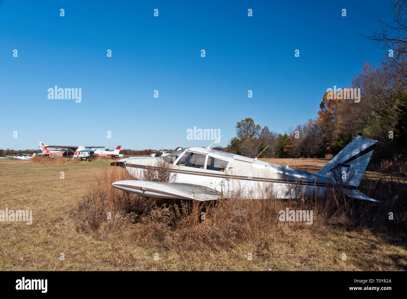 Abandoned aircraft sit overgrown with grass and weeds in a field at a ...