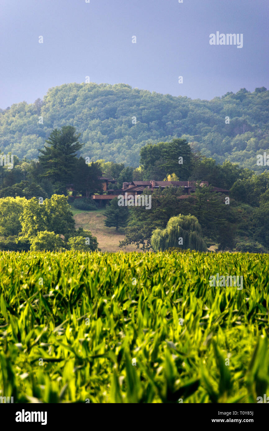 A view from a corn field of Taliesin, the estate of American architect ...