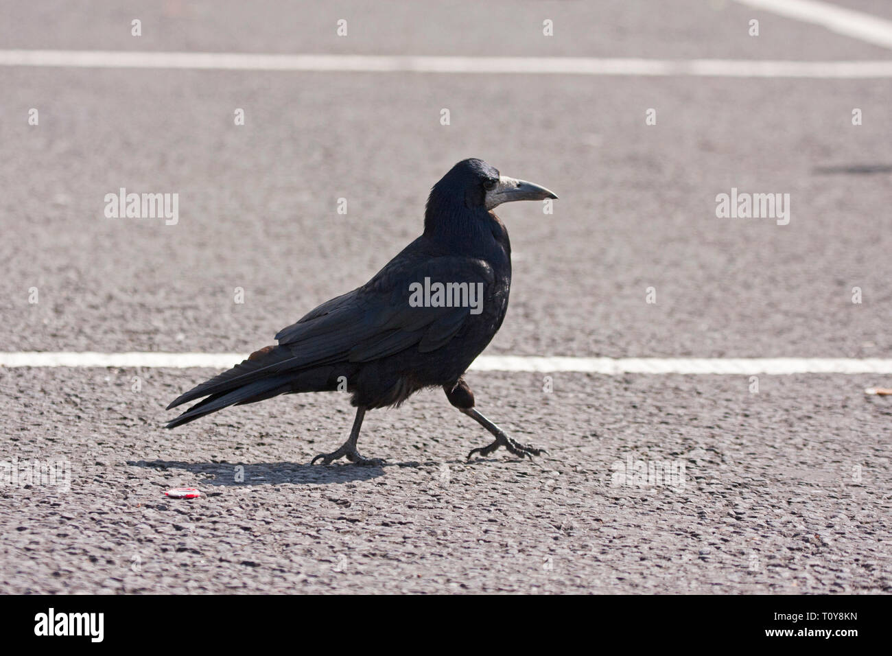 Empty carpark uk hi-res stock photography and images - Alamy