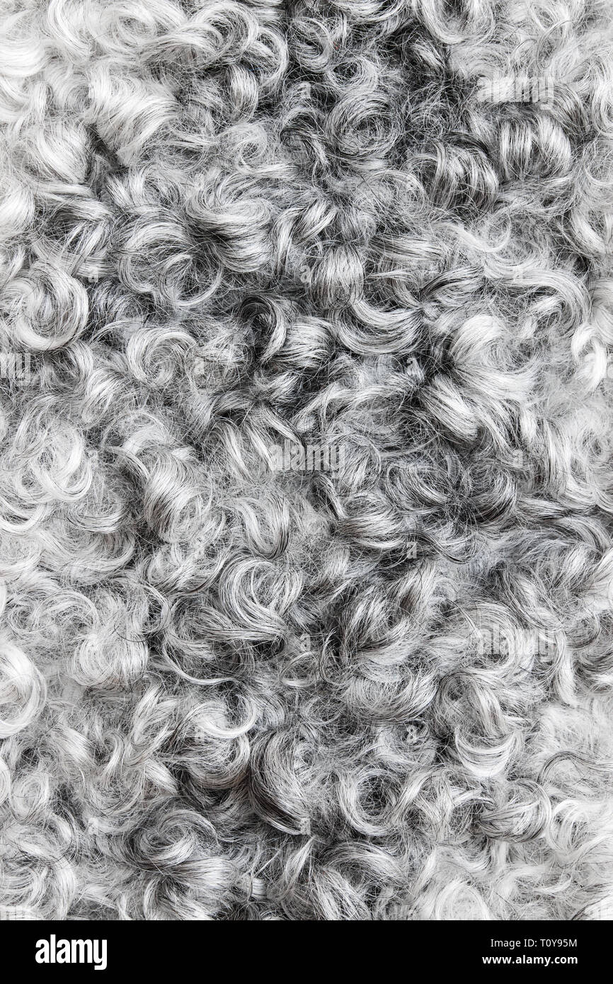 Scandinavian sheep skin hi-res stock photography and images - Alamy