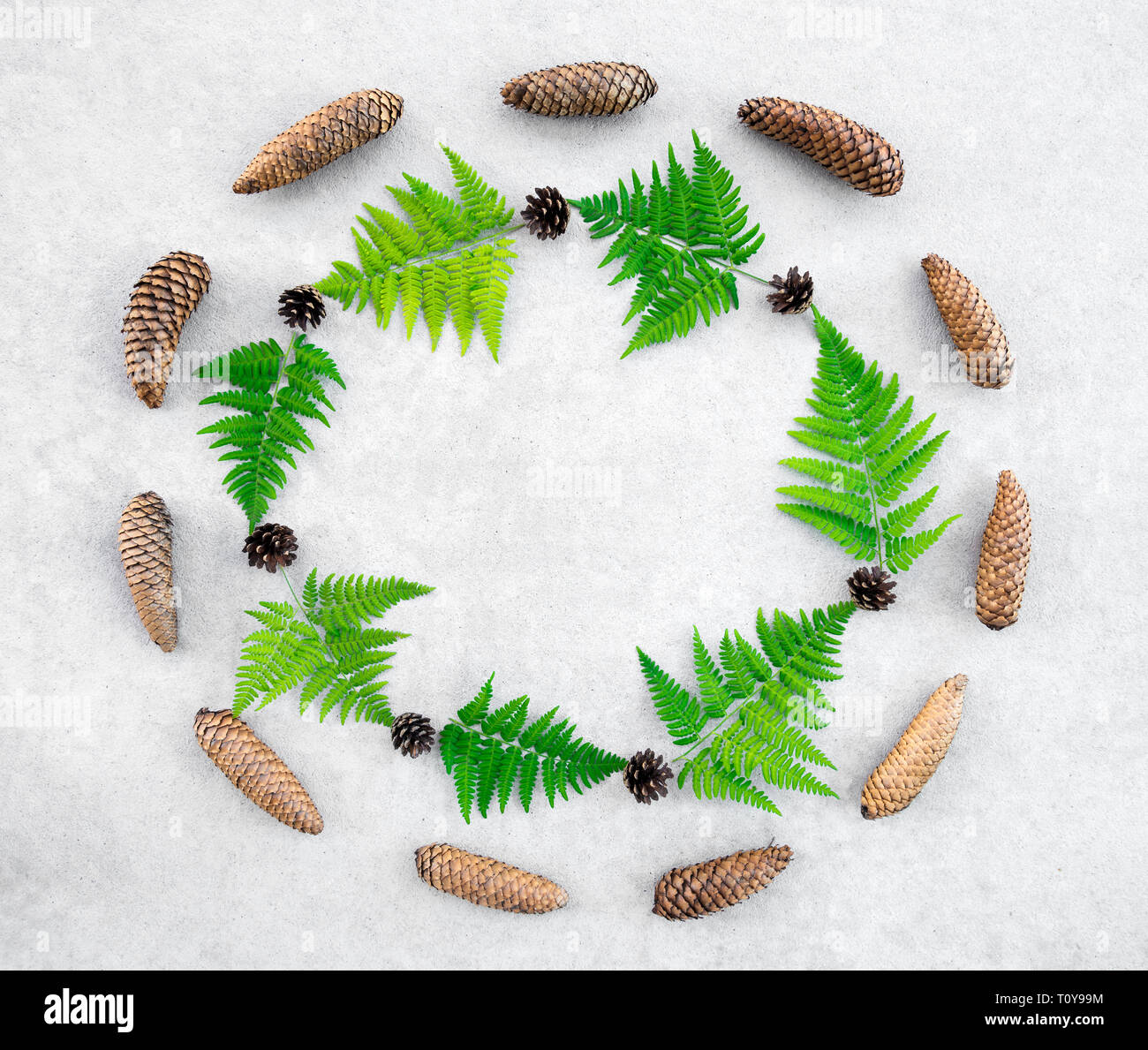 Scandinavian pine cones hi-res stock photography and images - Alamy