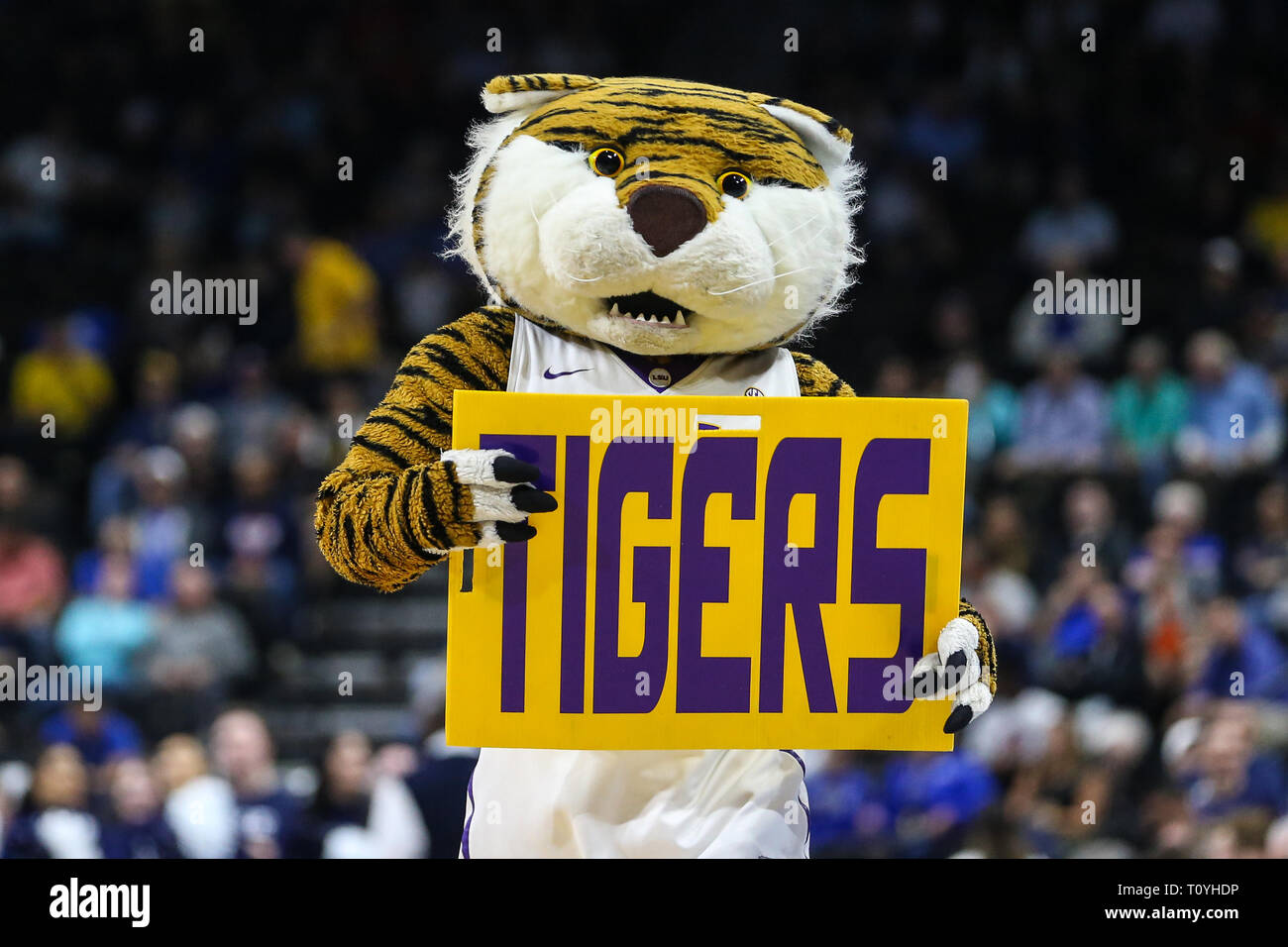 College basketball mascot hi-res stock photography and images - Alamy
