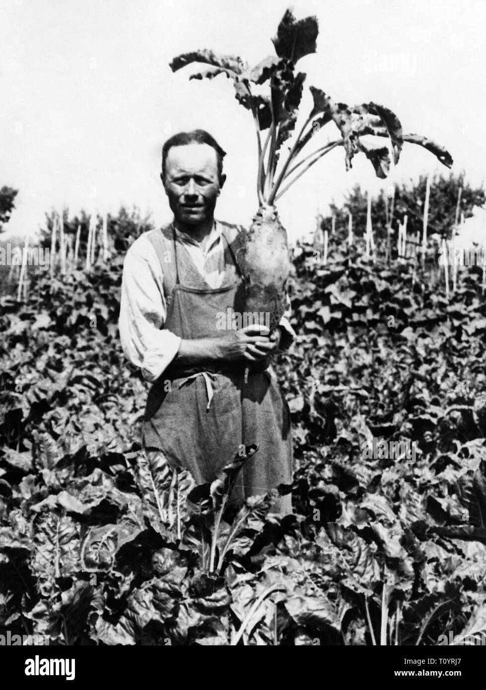 Sugar farmer Black and White Stock Photos & Images - Alamy