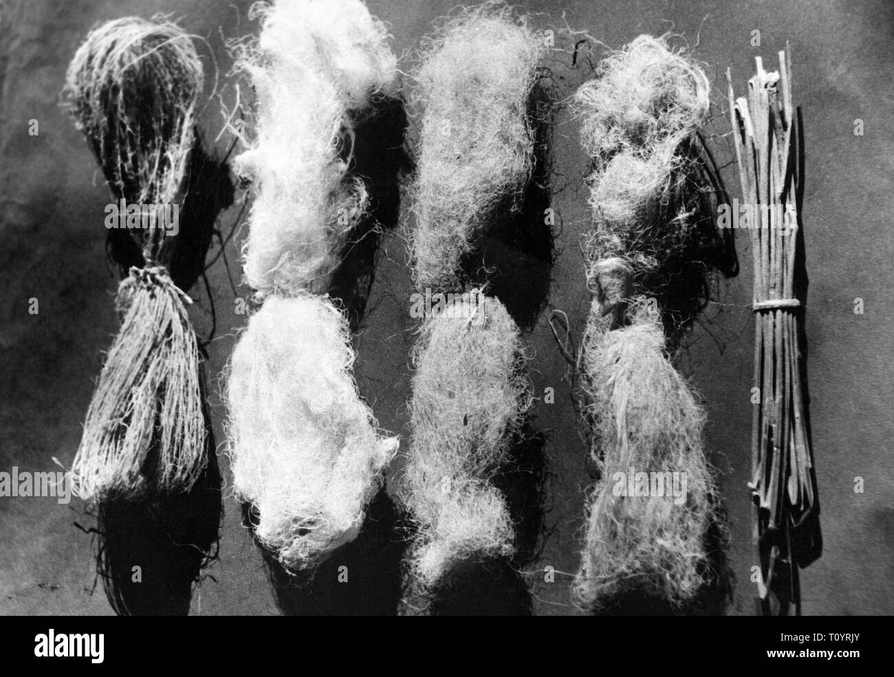 Broom fibres hi-res stock photography and images - Alamy