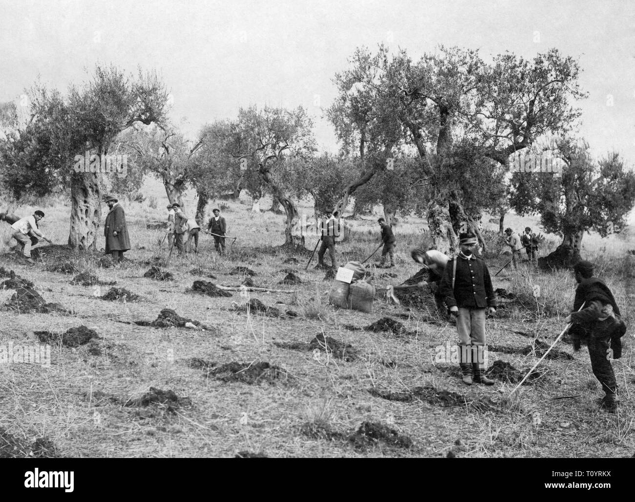 Manuring hi-res stock photography and images - Alamy