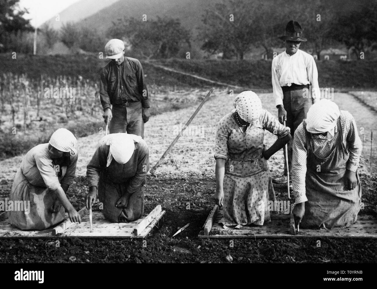 Field sowing Black and White Stock Photos & Images - Alamy