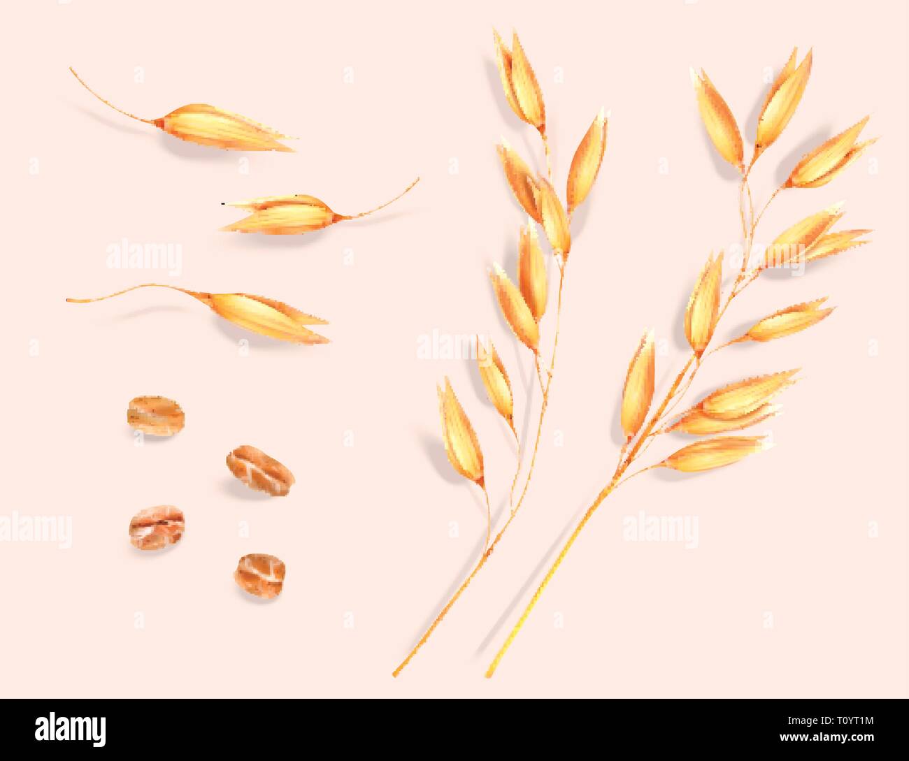 Wheat ear and grain elements in top view angle Stock Vector Image & Art ...