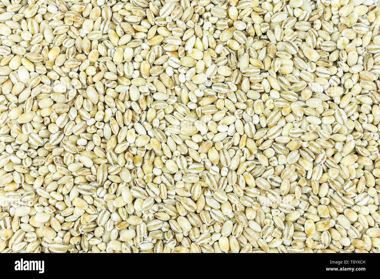 grain texture of the pearl barley, background of pearly grains Stock ...