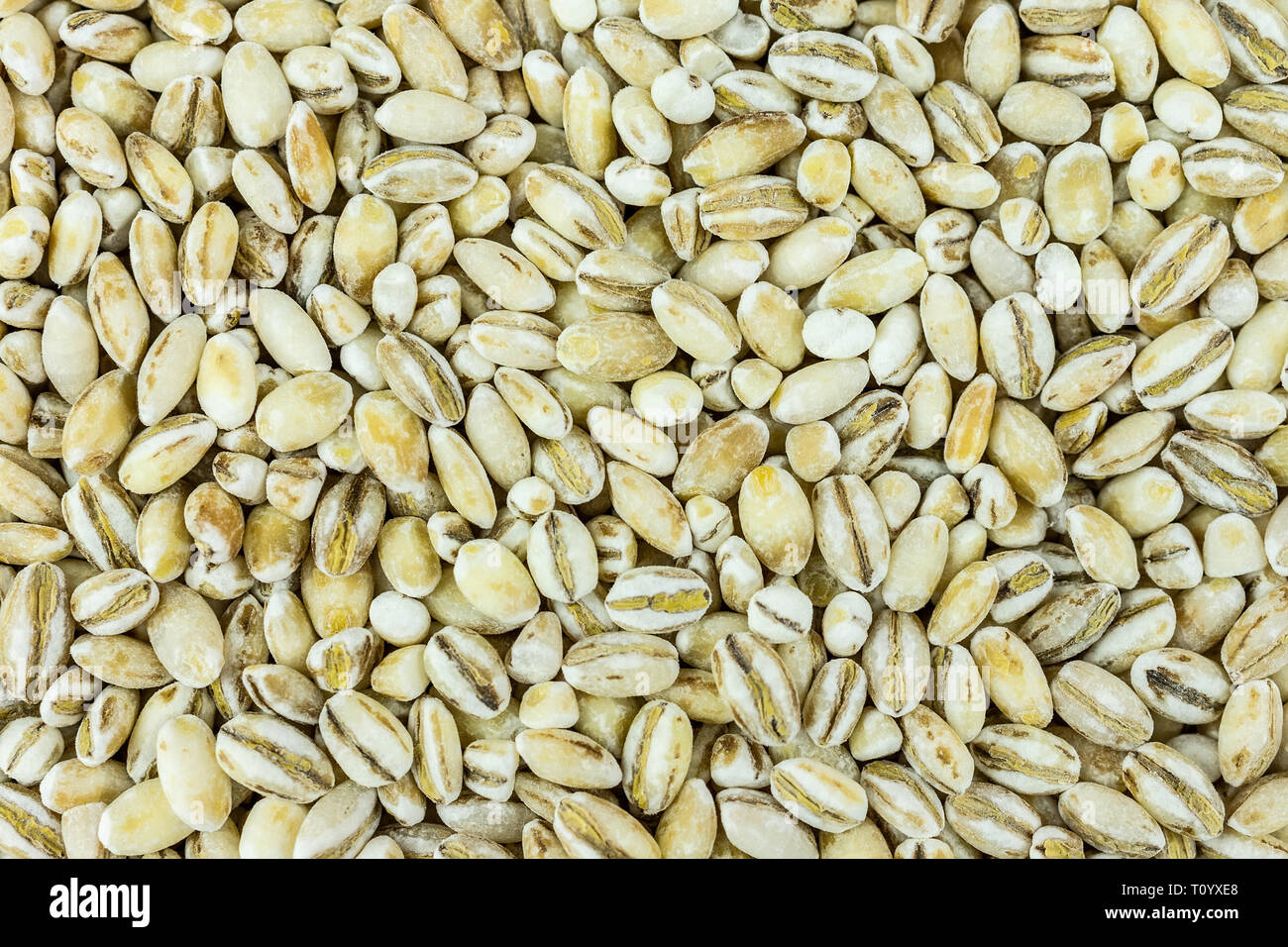 grain texture of the pearl barley, background of pearly grains Stock ...