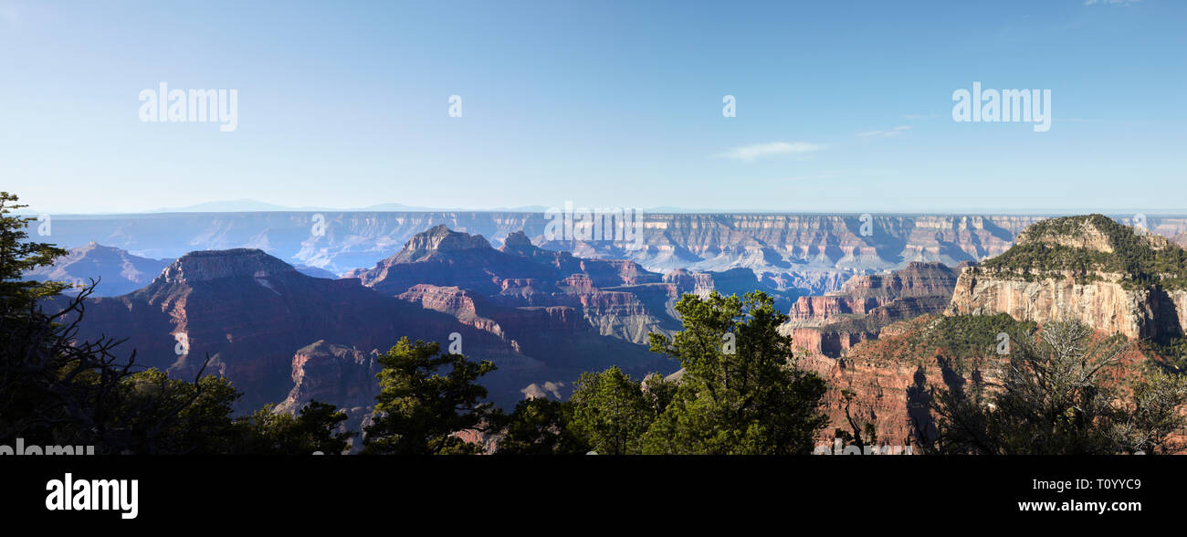 Bright Angel Point, Grand Canyon North Rim Stock Photo - Alamy