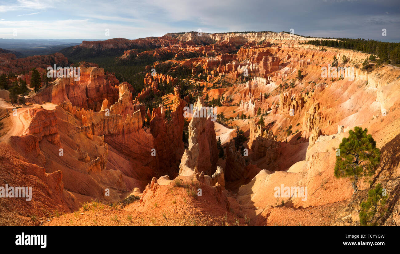 Bryce amphitheatre hi-res stock photography and images - Alamy