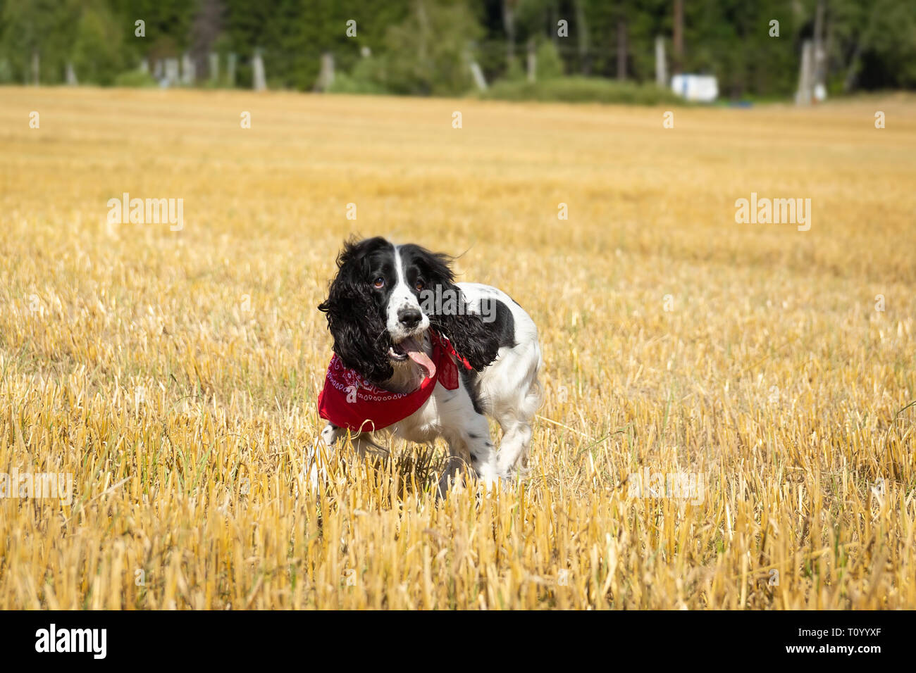 Docker background hi-res stock photography and images - Alamy
