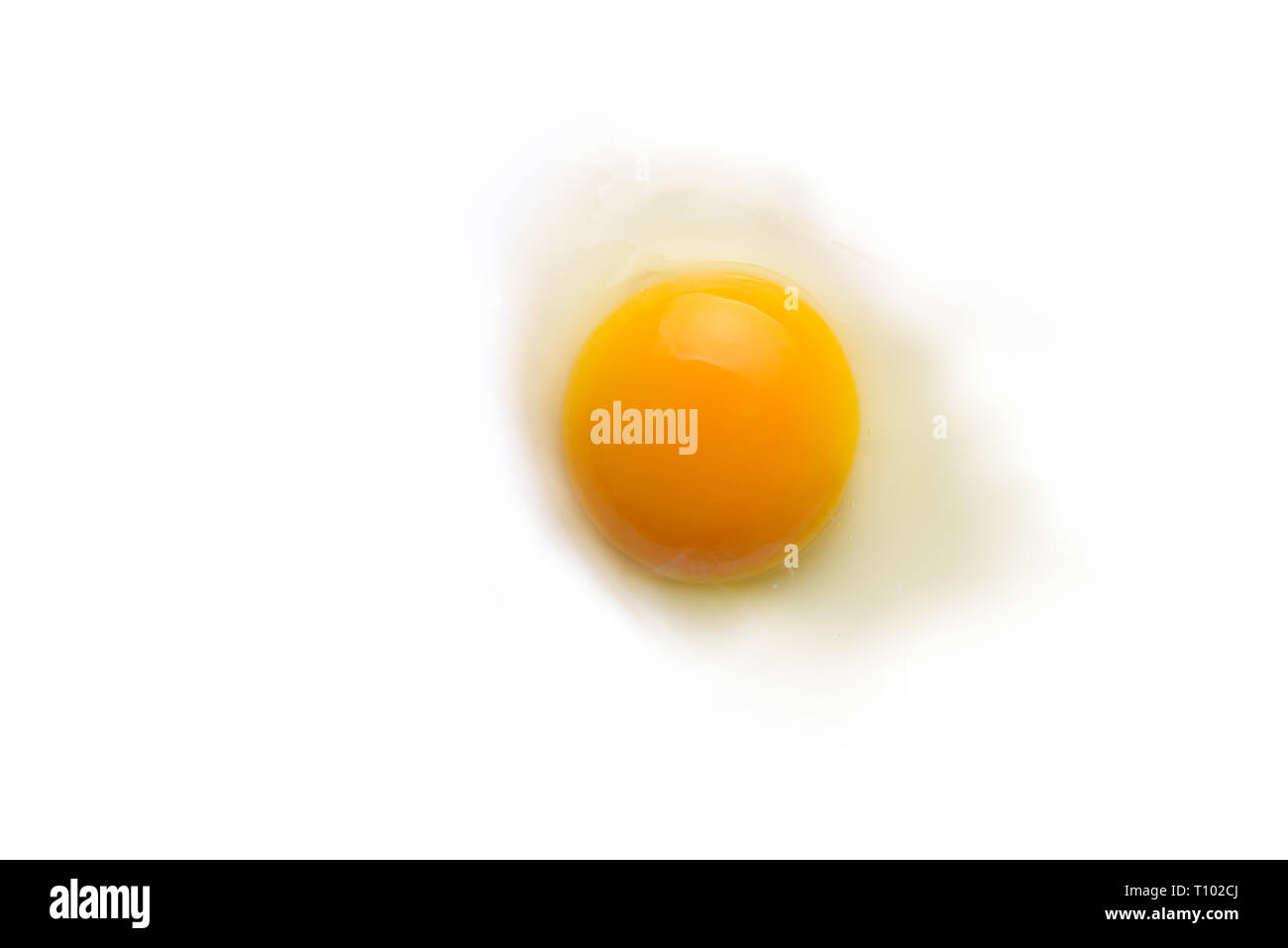 Raw Egg yolk on white isolated background Stock Photo - Alamy