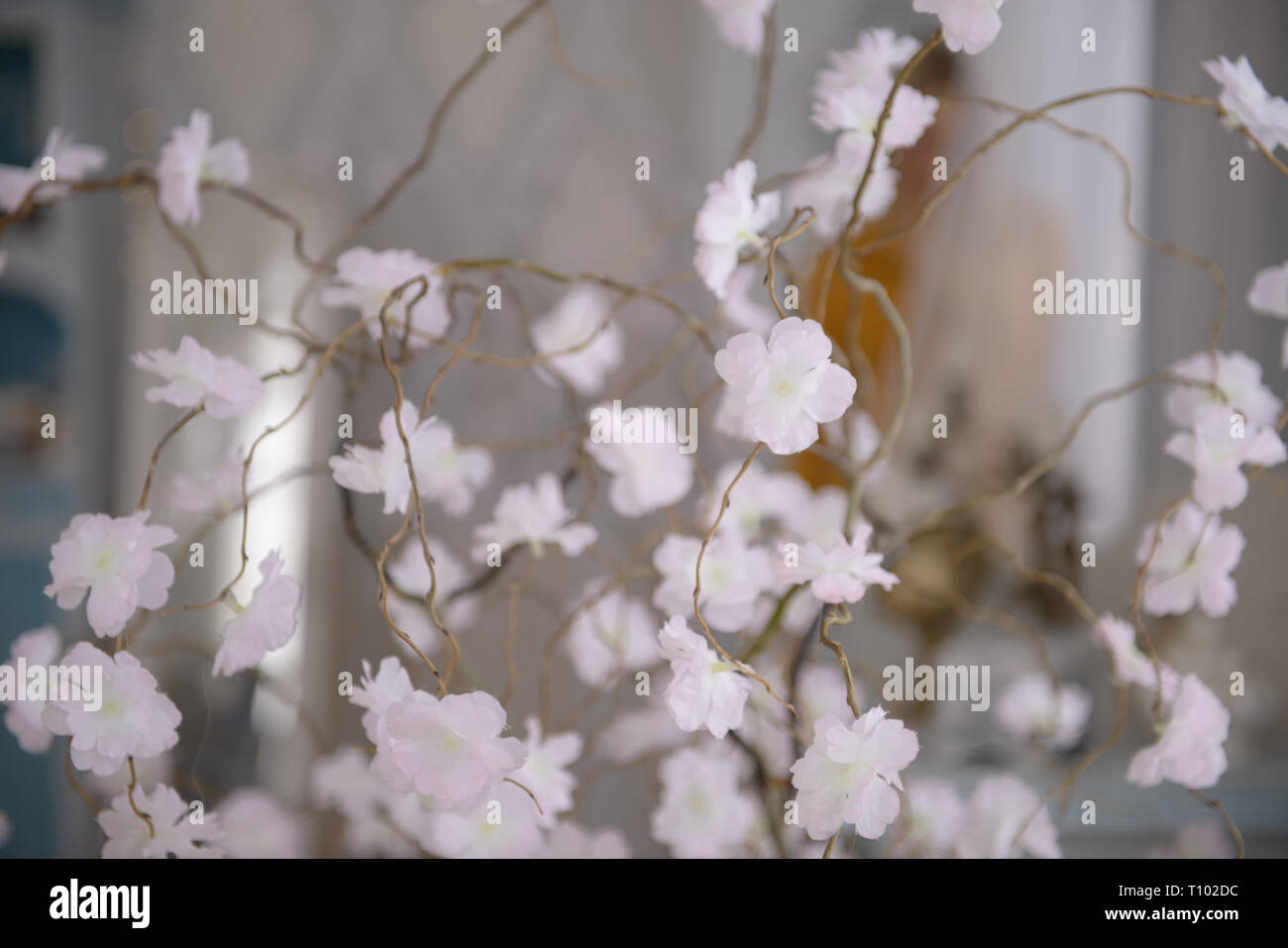 Spring bright abstract background with flowering trees Stock Photo - Alamy