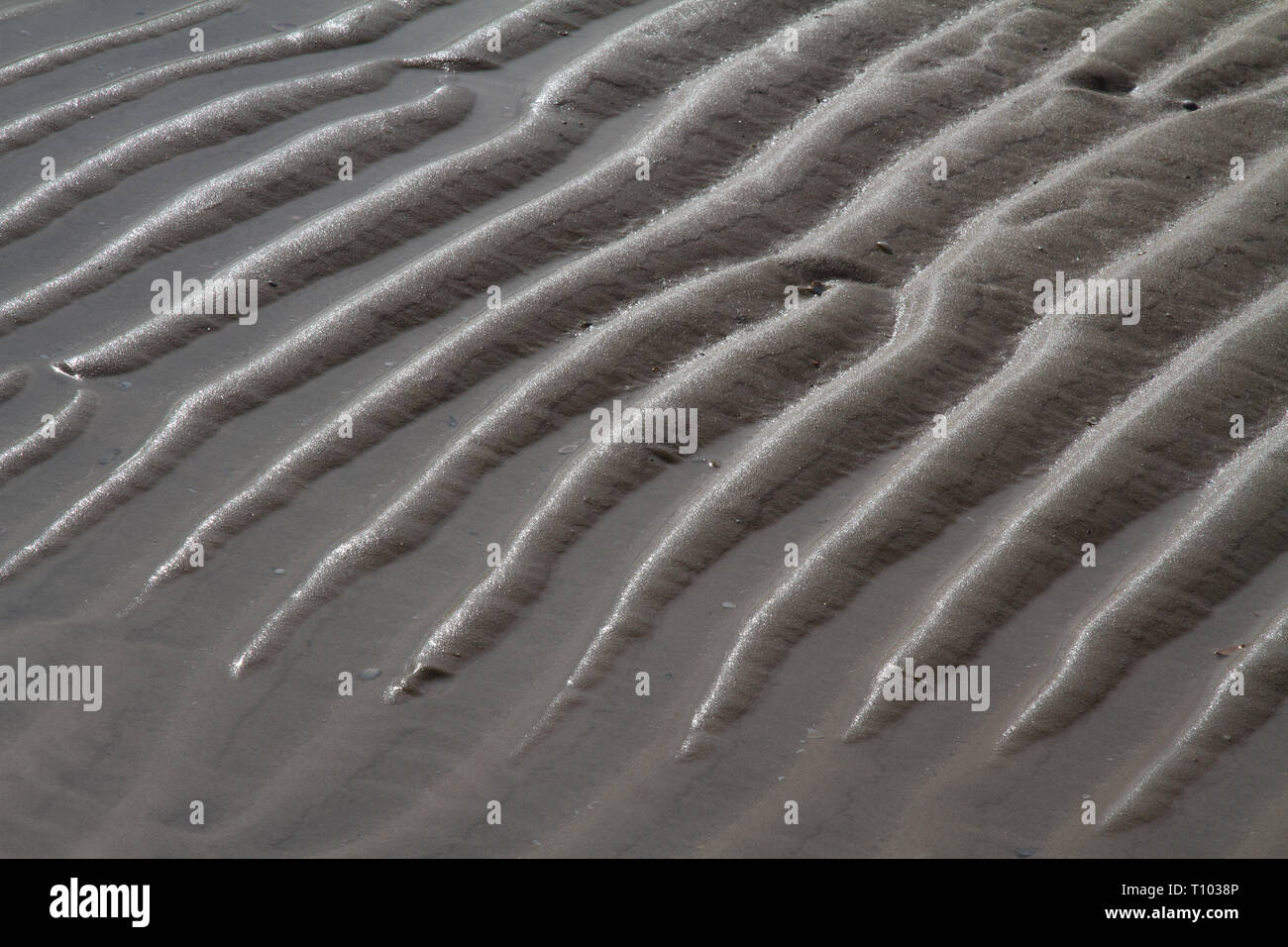 traces in the sand on a beach formed by waves Stock Photo - Alamy
