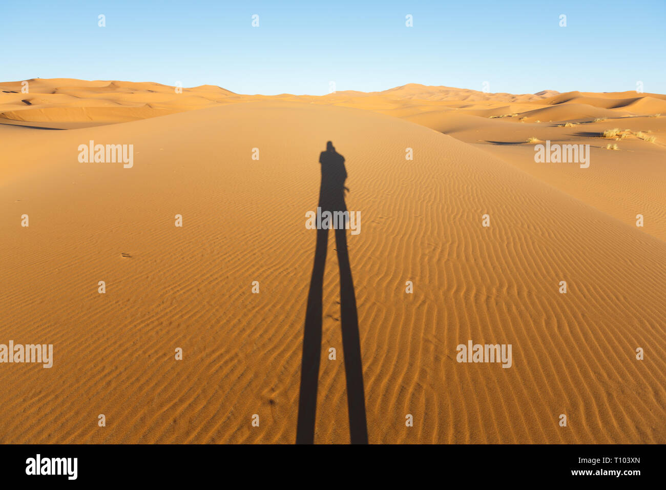 African horizon hi-res stock photography and images - Alamy