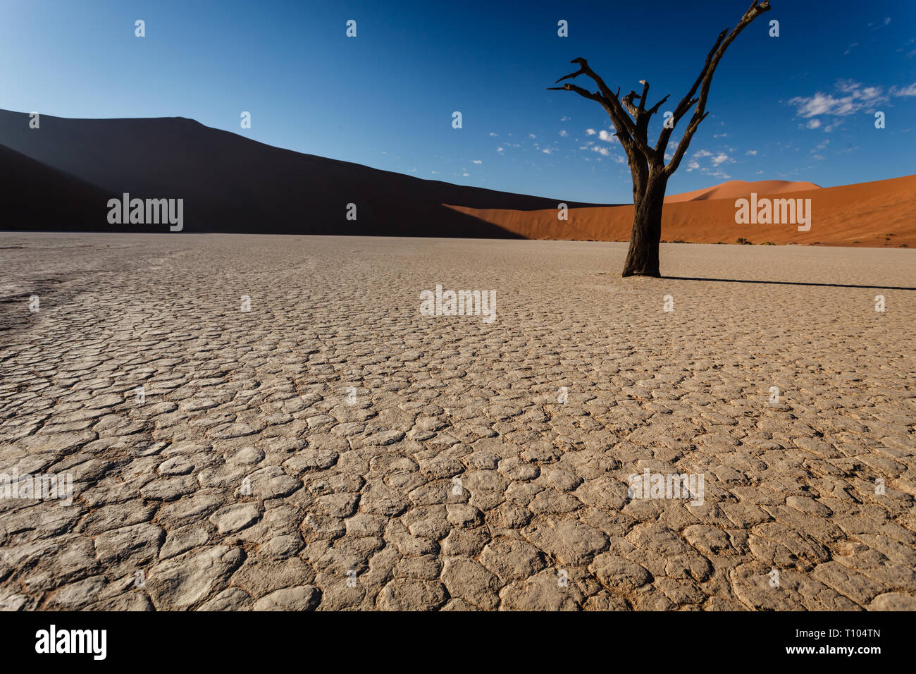 Dry mud texture dried riverbed hi-res stock photography and images - Alamy