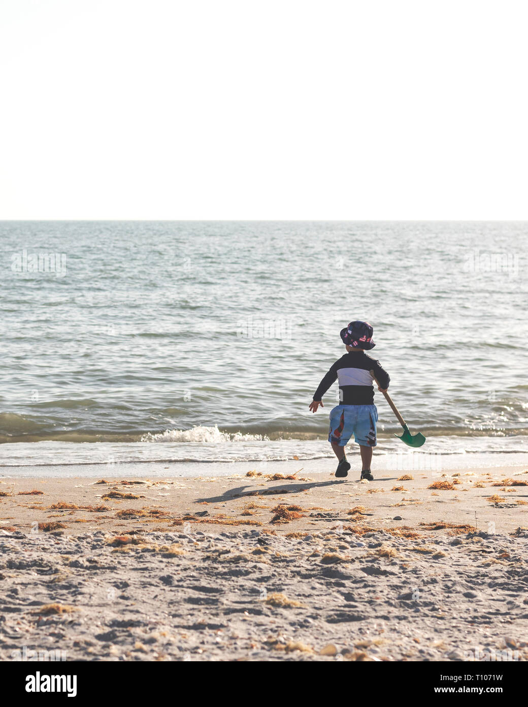 Child sea shells hi-res stock photography and images - Alamy