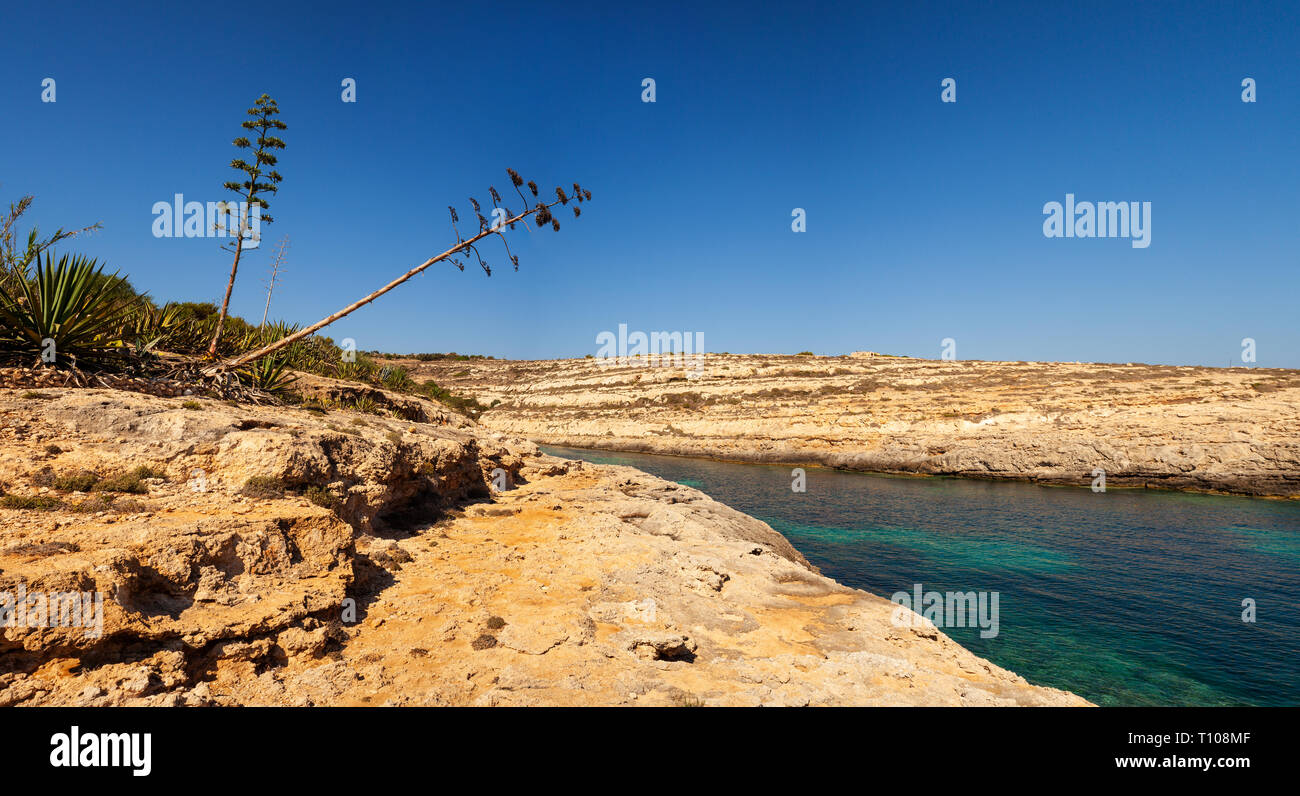 View of Cala Greca in the summer season, Sicily Stock Photo - Alamy