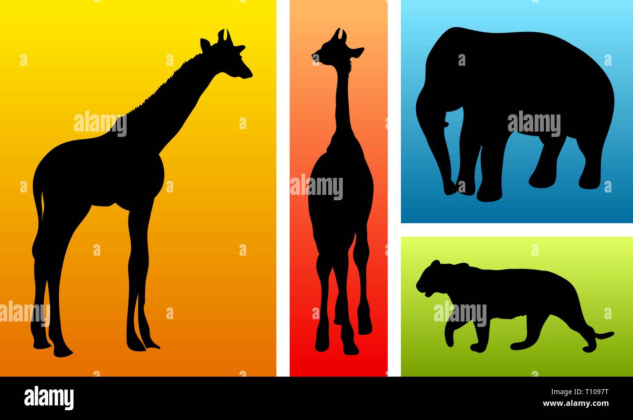 Animals from safari / zoo on colorful backgrounds Stock Vector Image ...