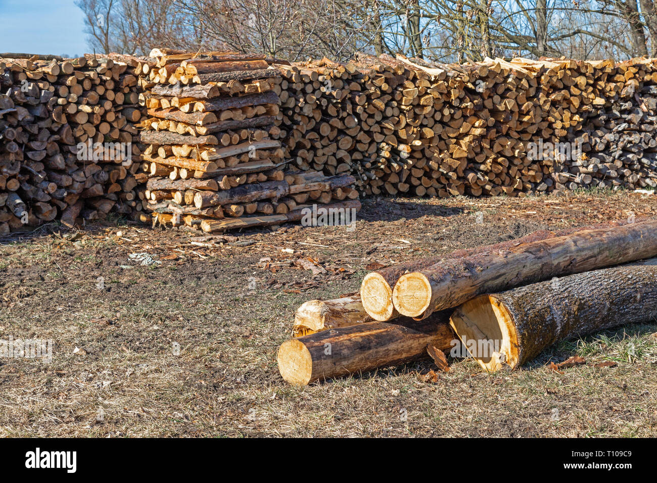 Firewood wood logs split hi-res stock photography and images - Alamy