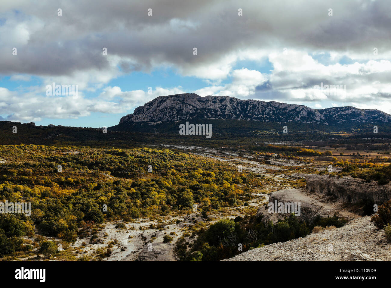 Pic Saint-Loup (south of France): landscape with garrigue, herd of ...