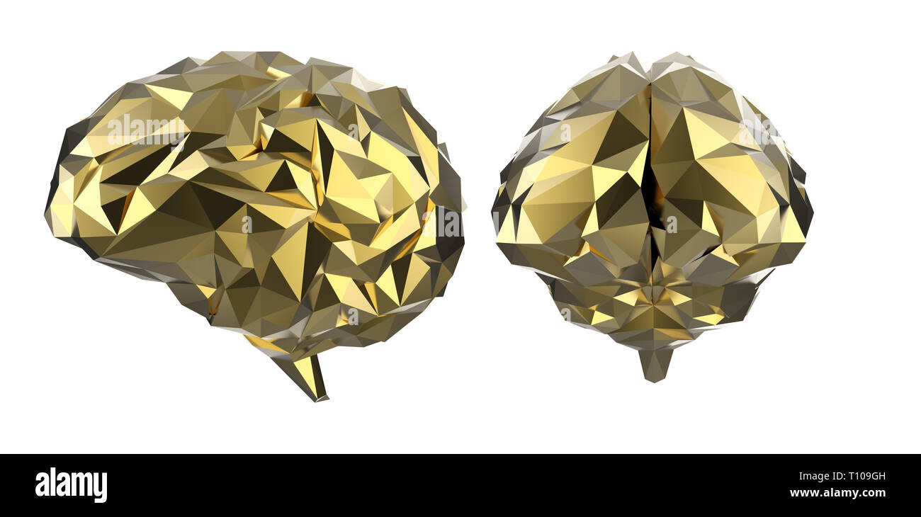 Golden brain hi-res stock photography and images - Alamy