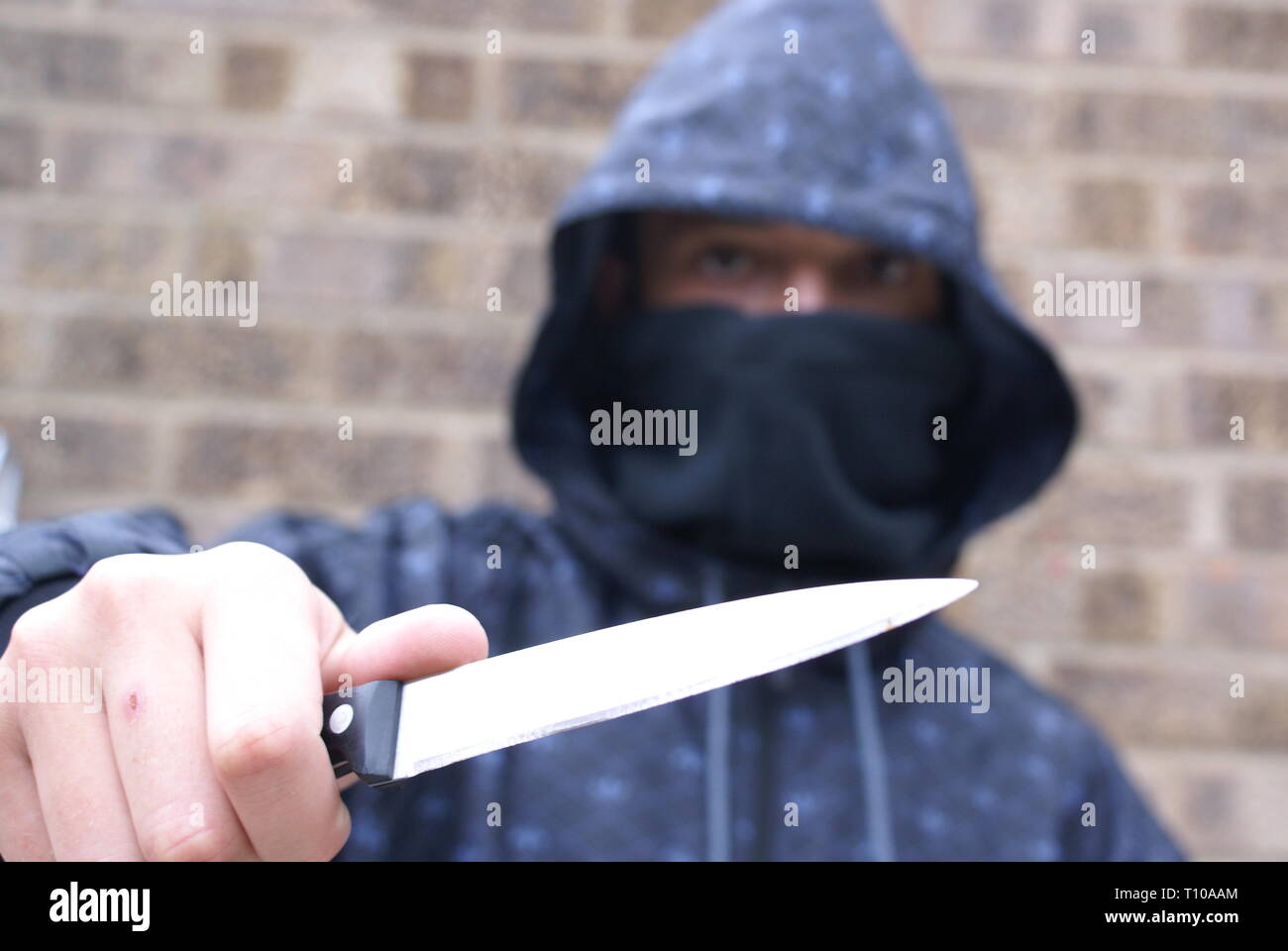 Stab culture hi-res stock photography and images - Alamy