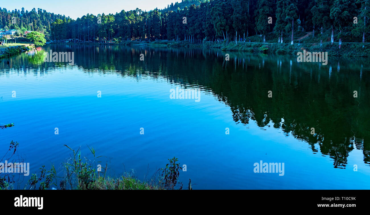 Beautiful Natural Mirik Lake,Darjeeling,India Stock Photo - Alamy