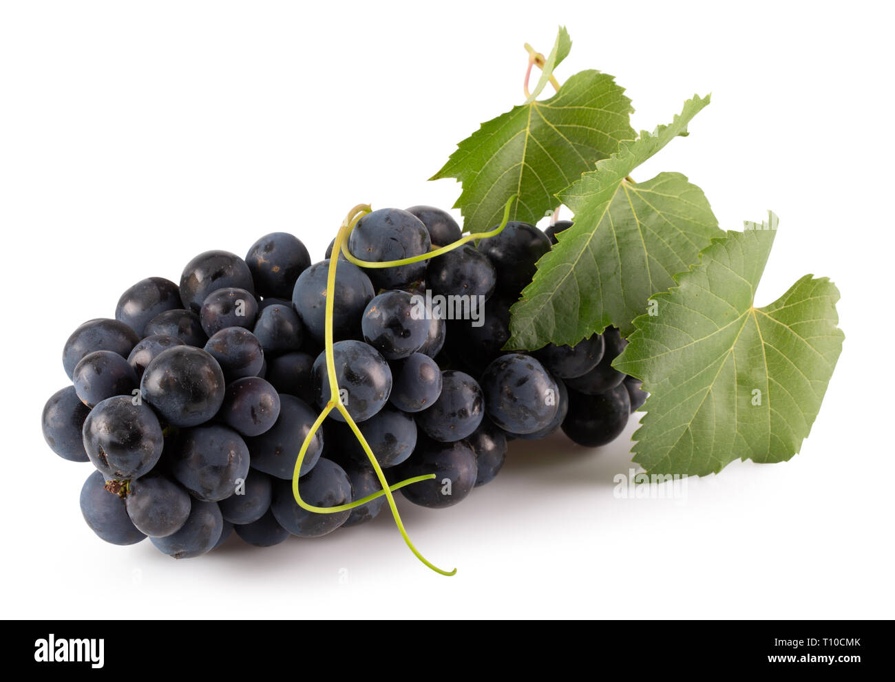 grapes isolated on a white background Stock Photo - Alamy