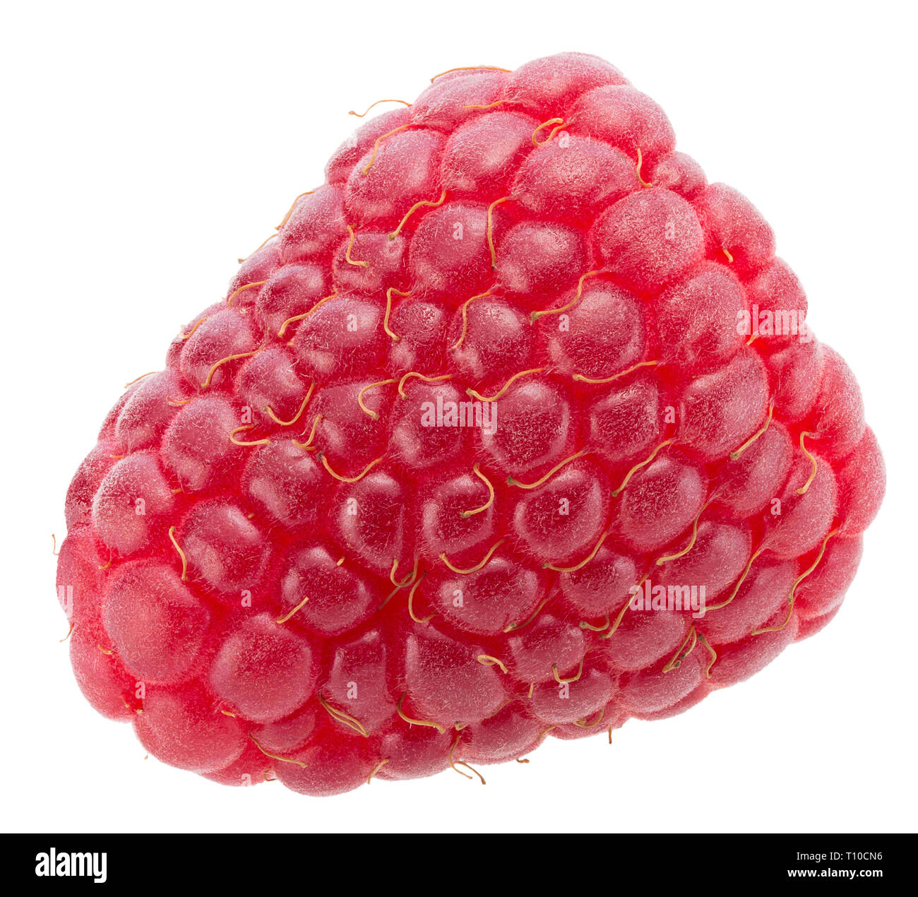 raspberry isolated on a white background Stock Photo - Alamy