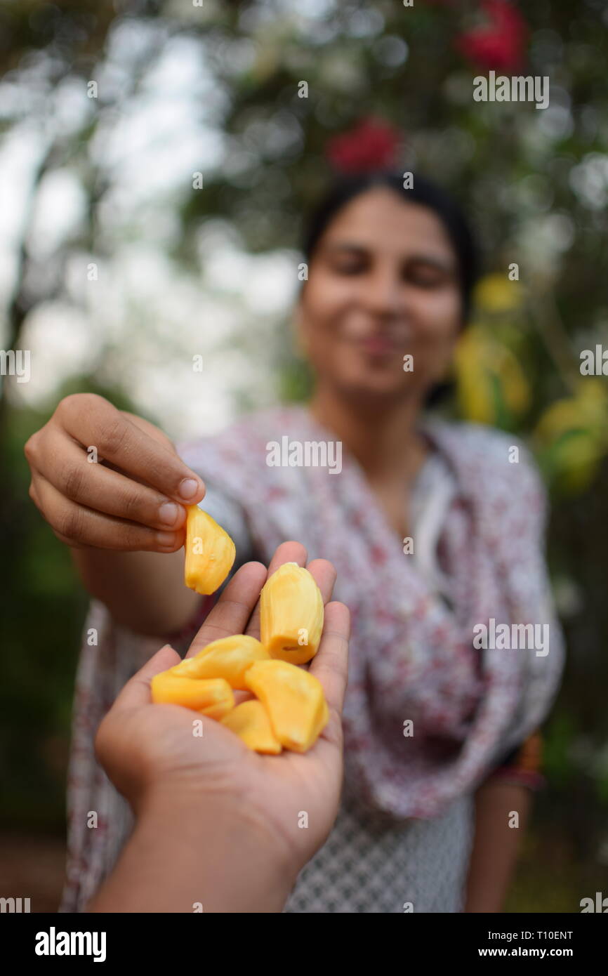 World fruit hand hi-res stock photography and images - Alamy