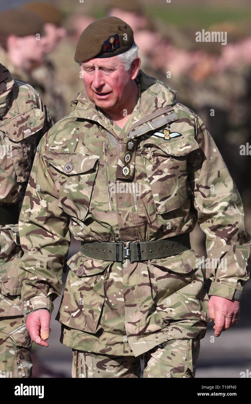 The Prince of Wales, Colonel, Welsh Guards, presents campaign medals to ...