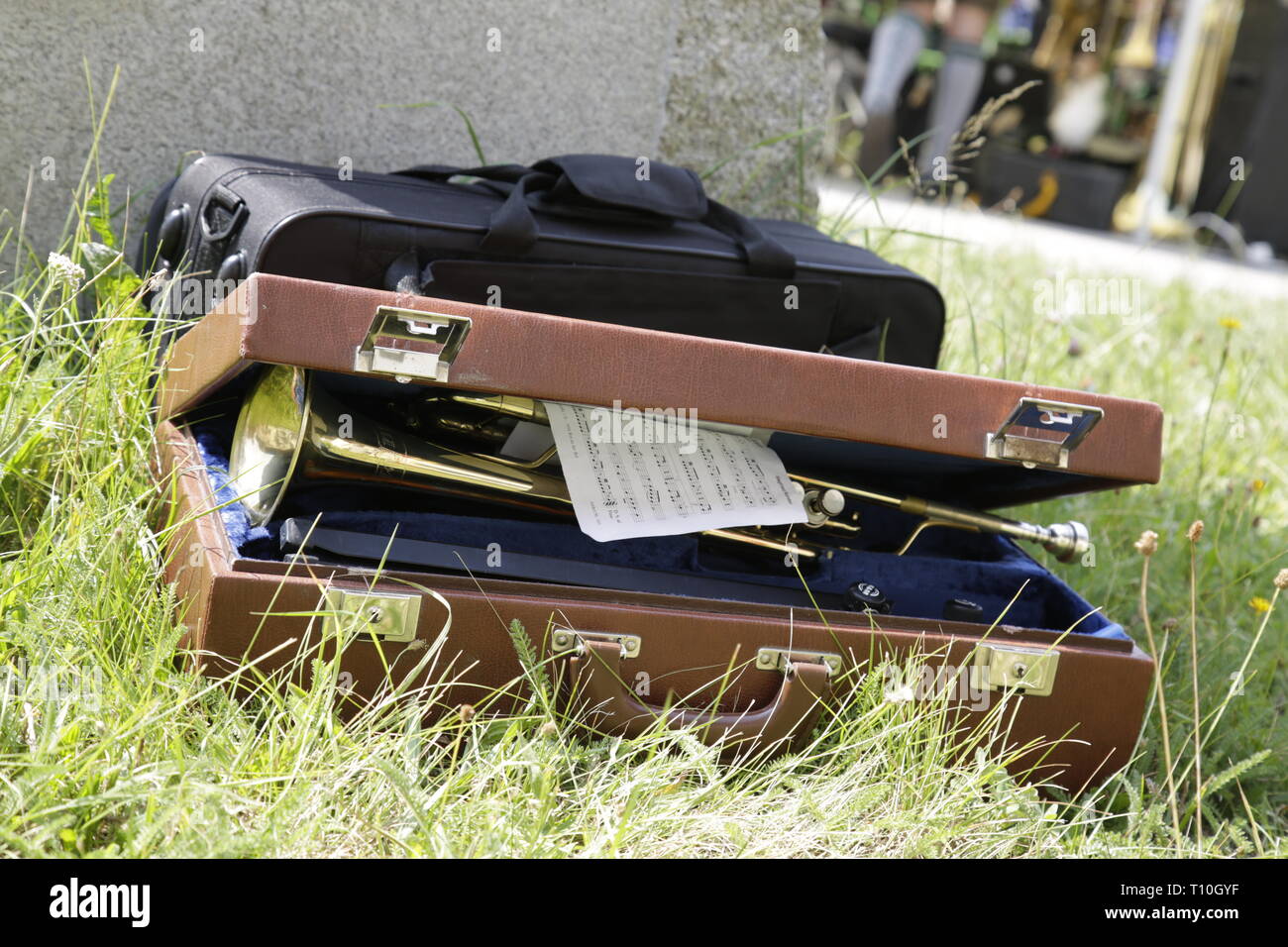 Beautiful little Trumpet Stock Photo - Alamy