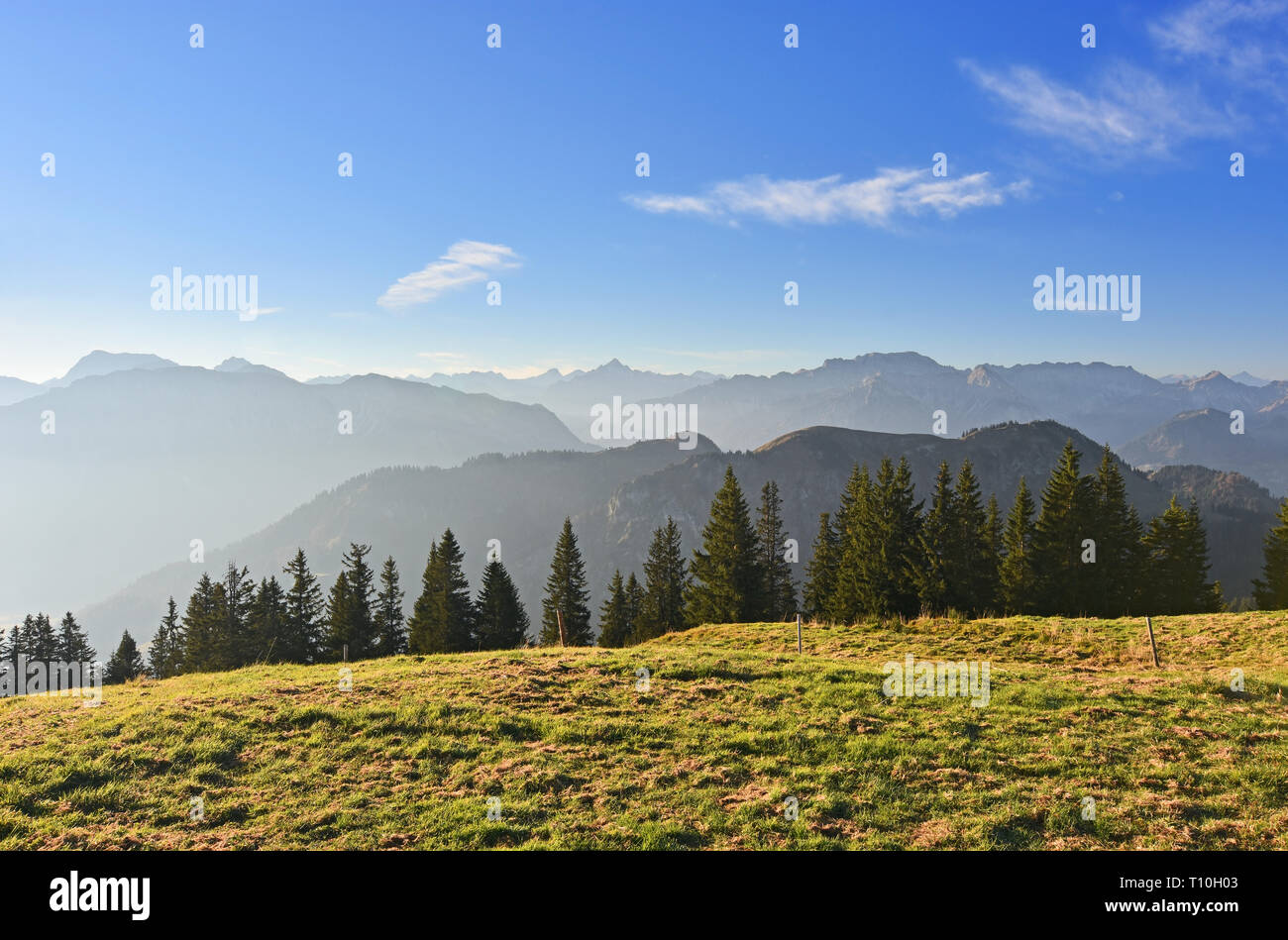 Alpine pasture with grass, trees and rocky mountains. Warm morning ...