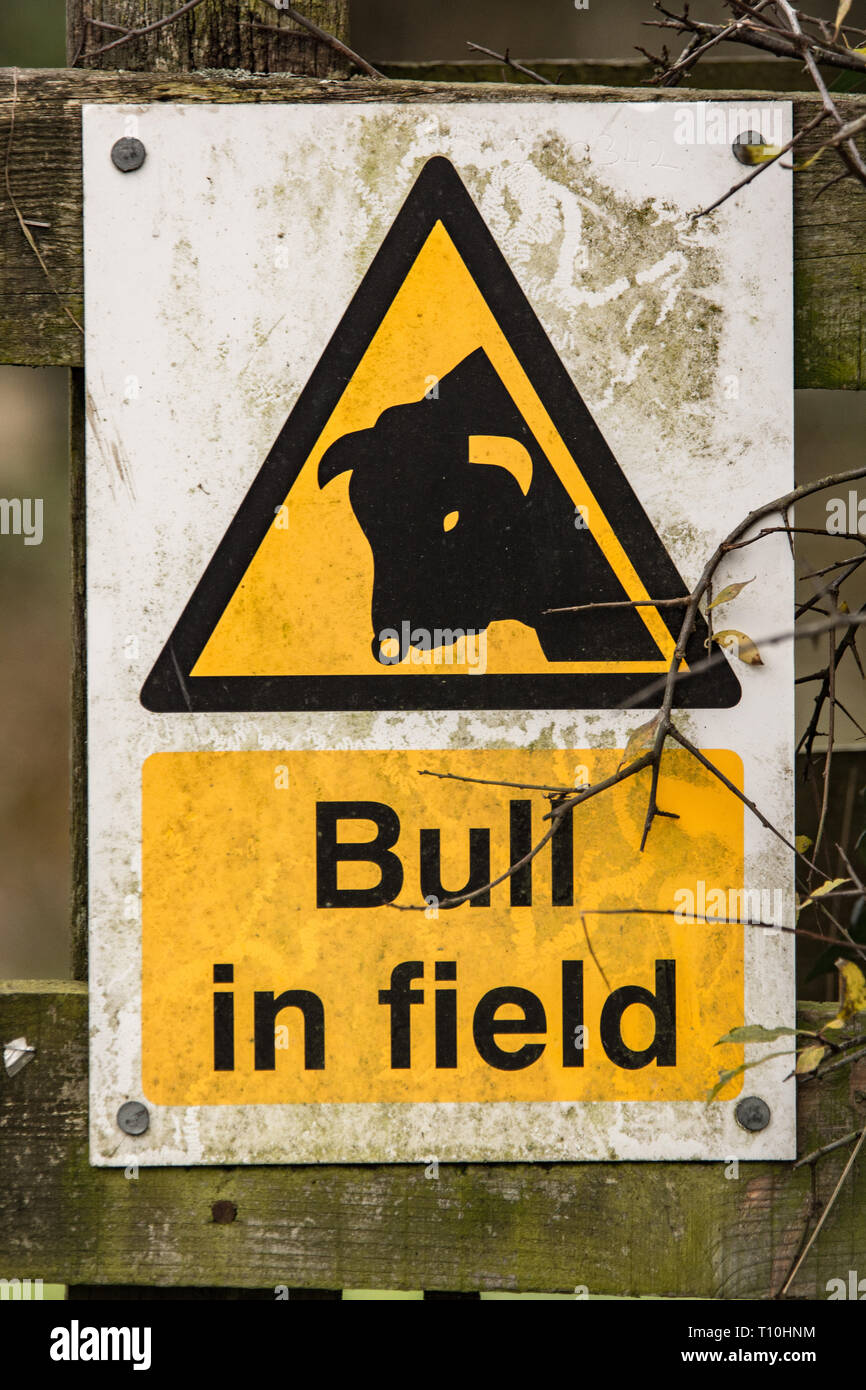 Bull in field sign hi-res stock photography and images - Alamy
