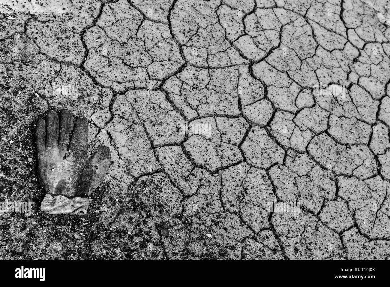 Dropped glove Black and White Stock Photos & Images - Alamy