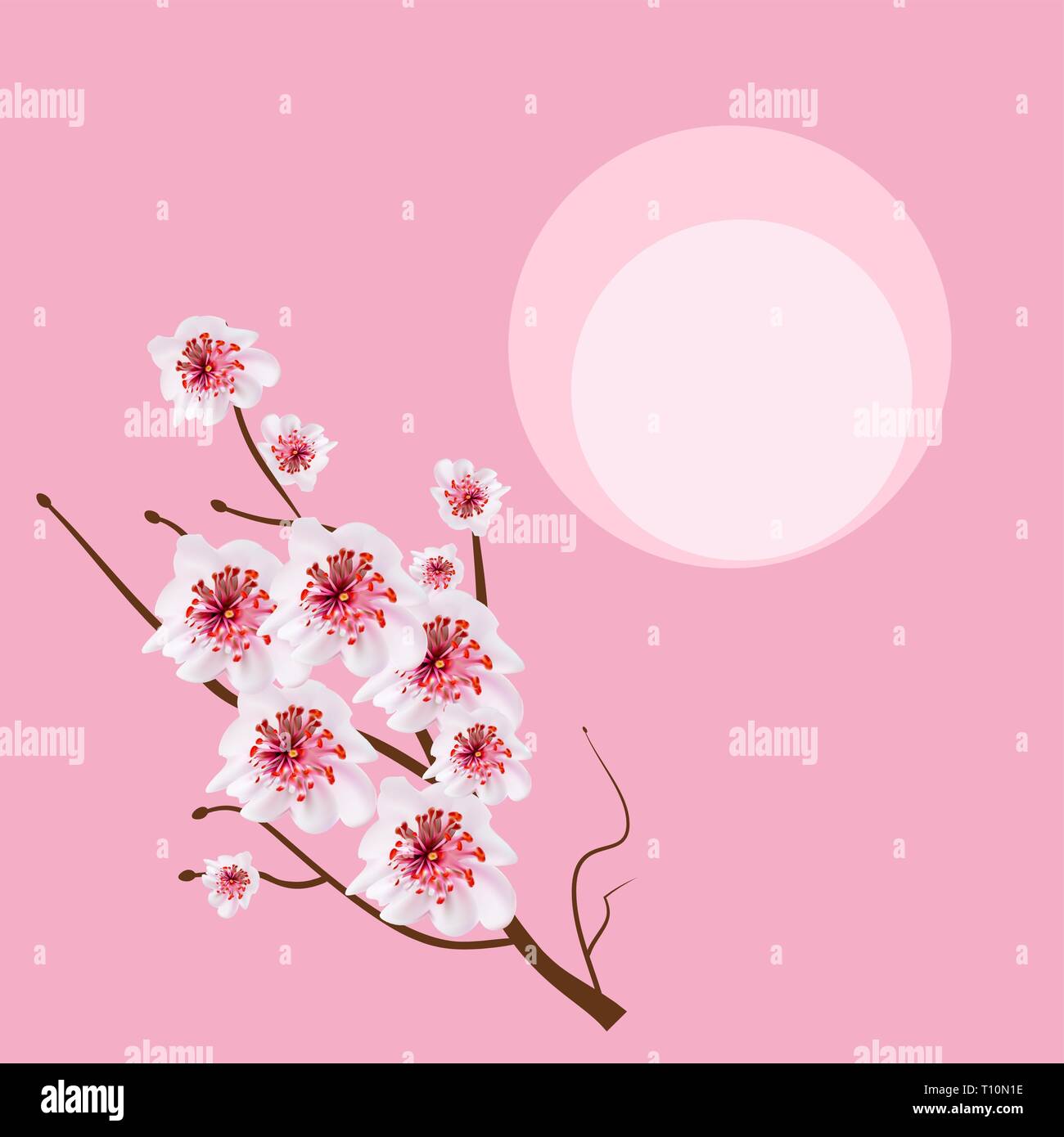 Cherry Blossom Printable Template Cherry Blossom Flower Coloring Page