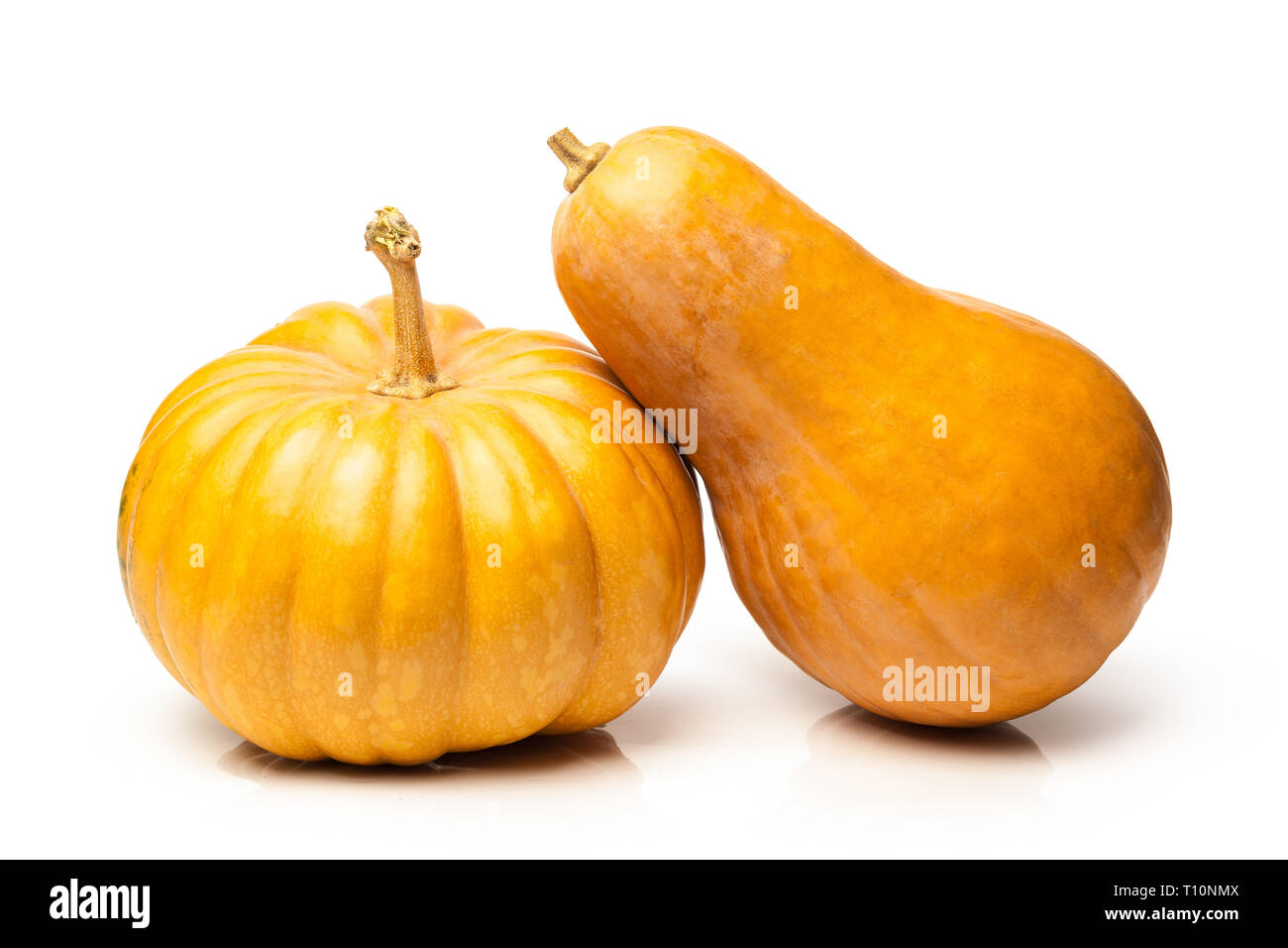 Pumpkin isolated on white background Stock Photo - Alamy