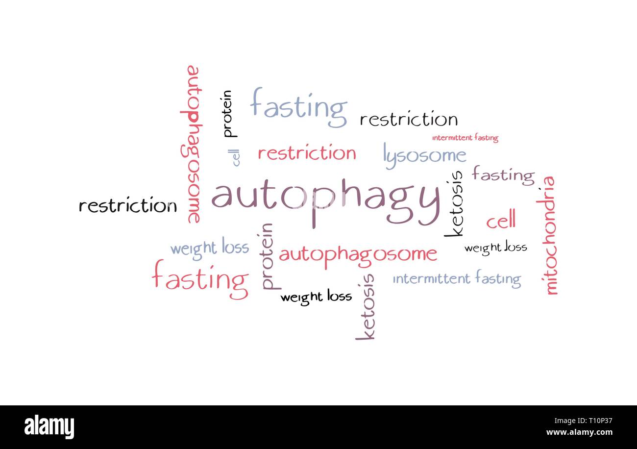 Autophagy hand-drawn word cloud concept. Vector illustration Stock ... Autophagy hand-drawn word cloud concept. Vector illustration Stock ...