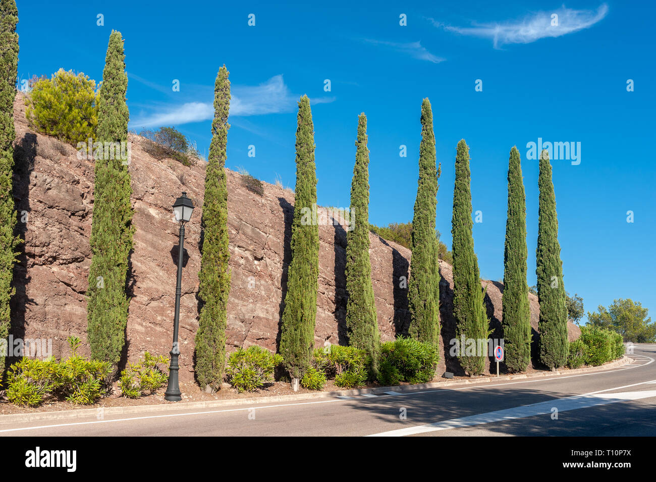 Provence cypress tree hi-res stock photography and images - Alamy