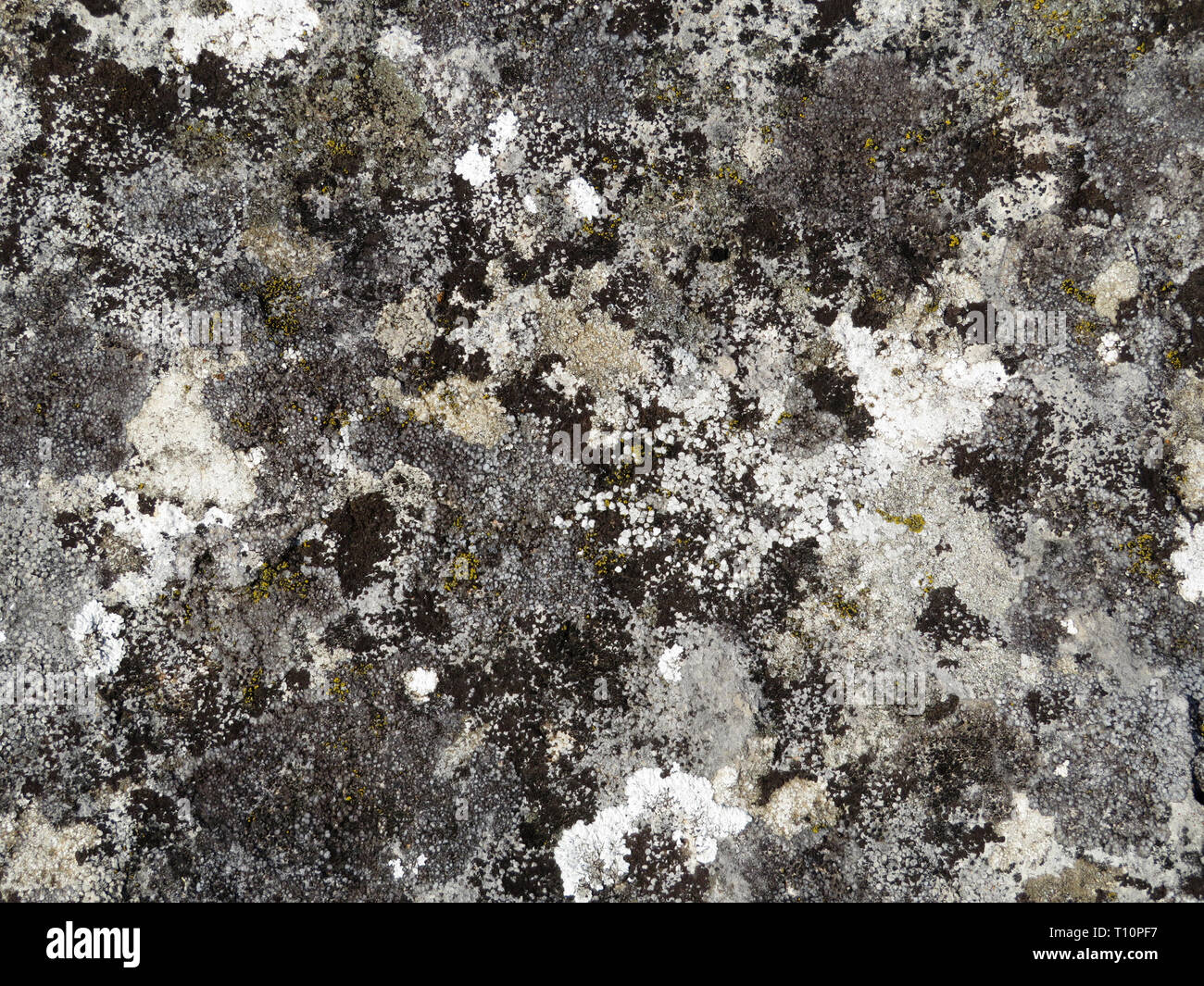 Dirty stone texture hi-res stock photography and images - Alamy