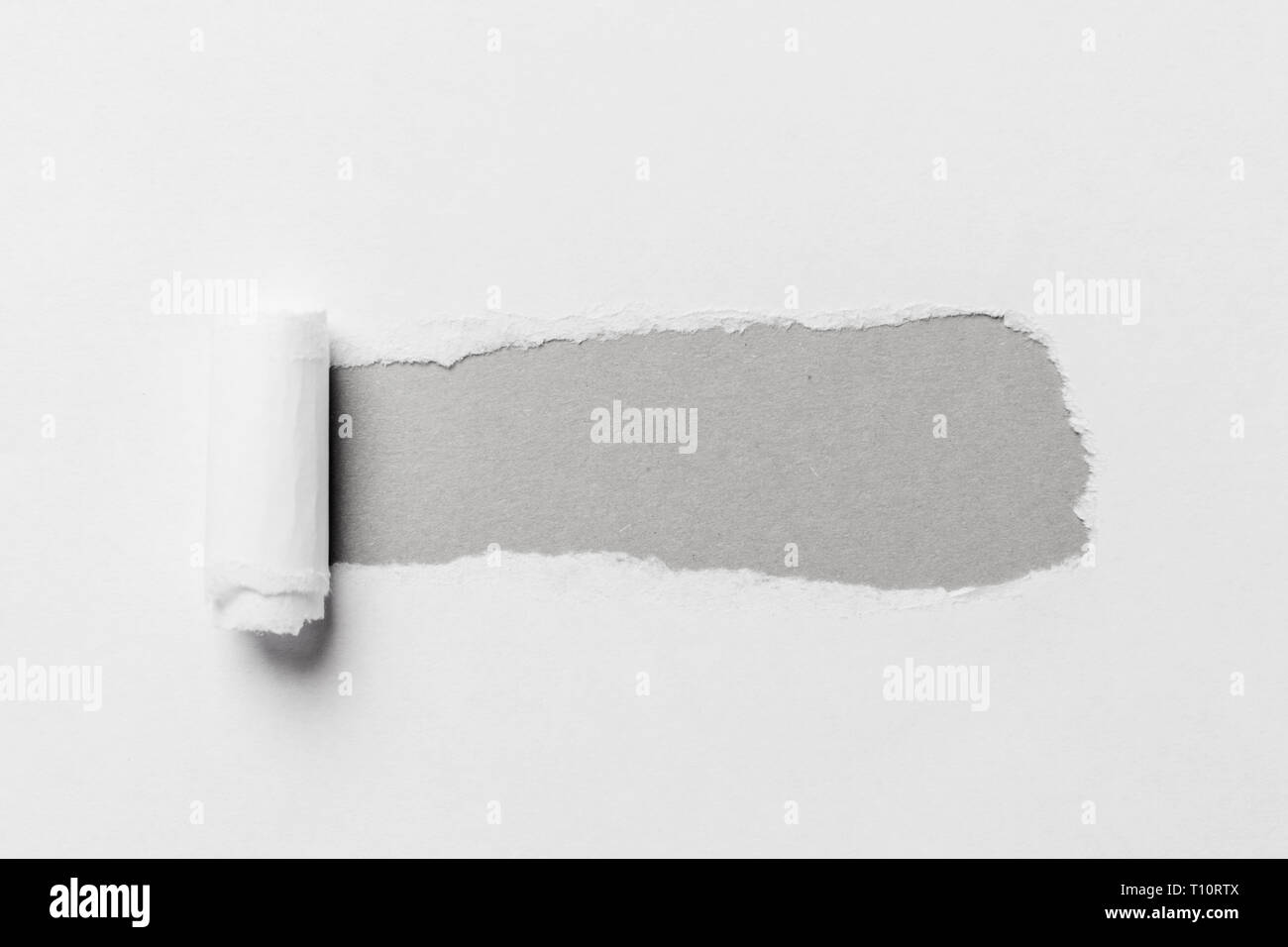 white ripped paper Stock Photo - Alamy