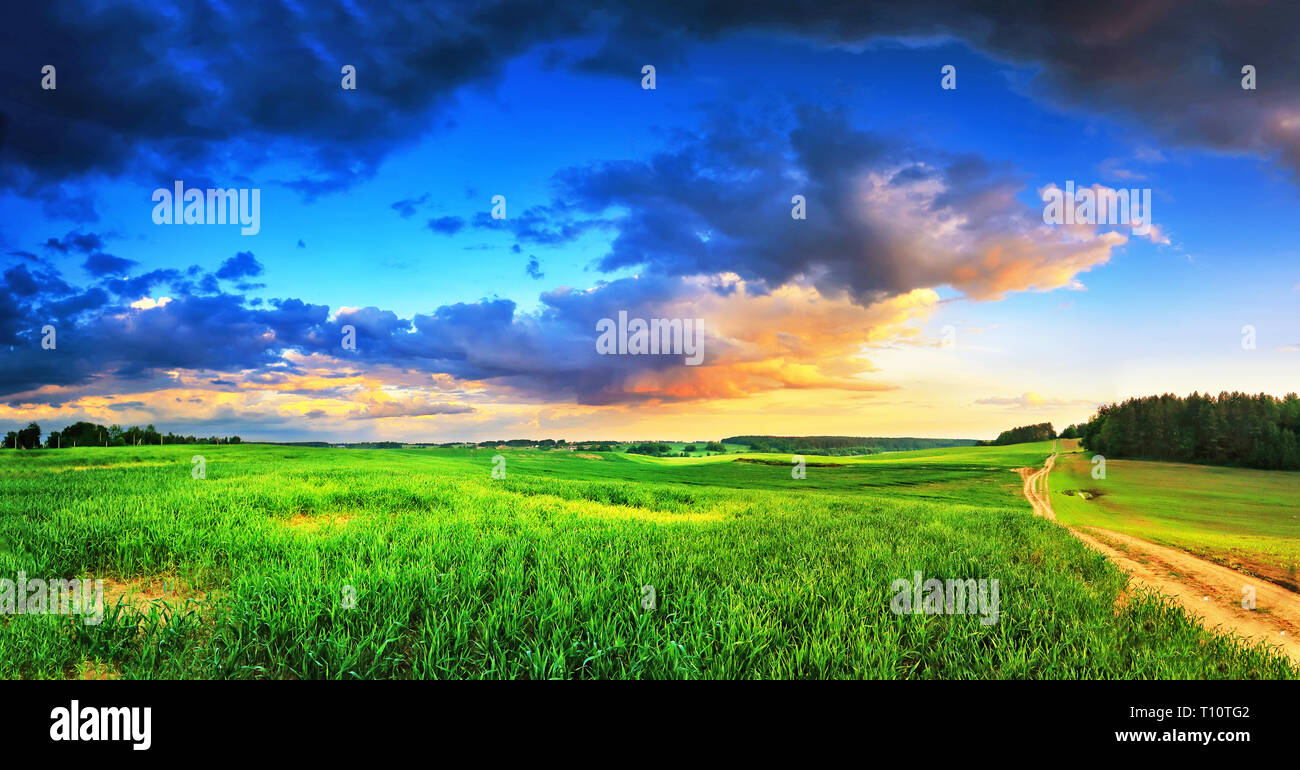 Spring rural scene. Dirt road through green wheat fields. Sunset clouds ...