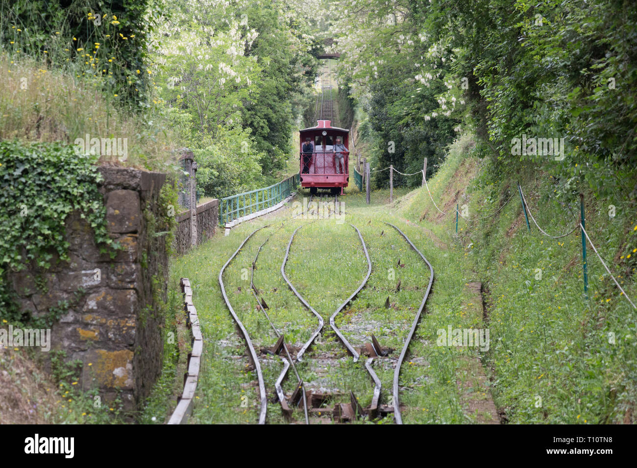 The view of red funicular and railroad through green trees between ...