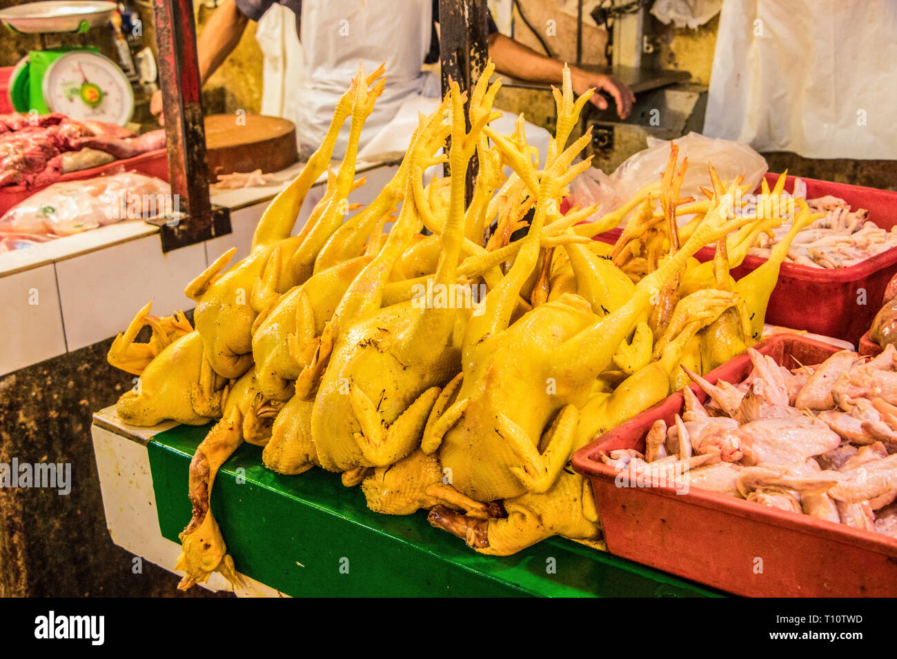 Chow kit hi-res stock photography and images - Alamy