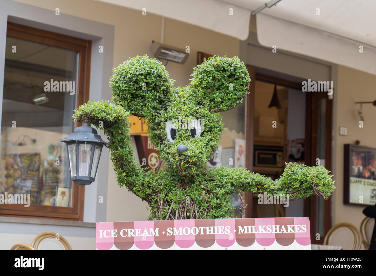 Mickey mouse bush hi-res stock photography and images - Alamy