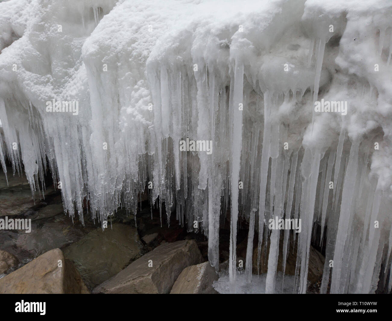 Long hanging hi-res stock photography and images - Alamy
