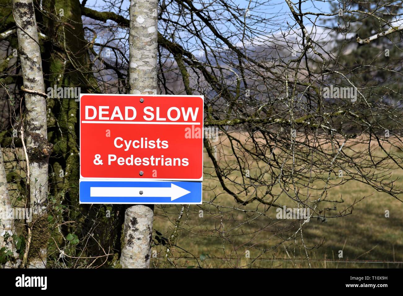 Dead slow road sign hi-res stock photography and images - Alamy